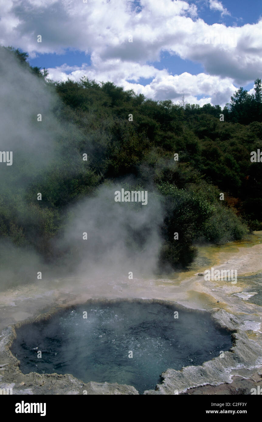 Rotorua North Island New Zealand Stock Photo - Alamy