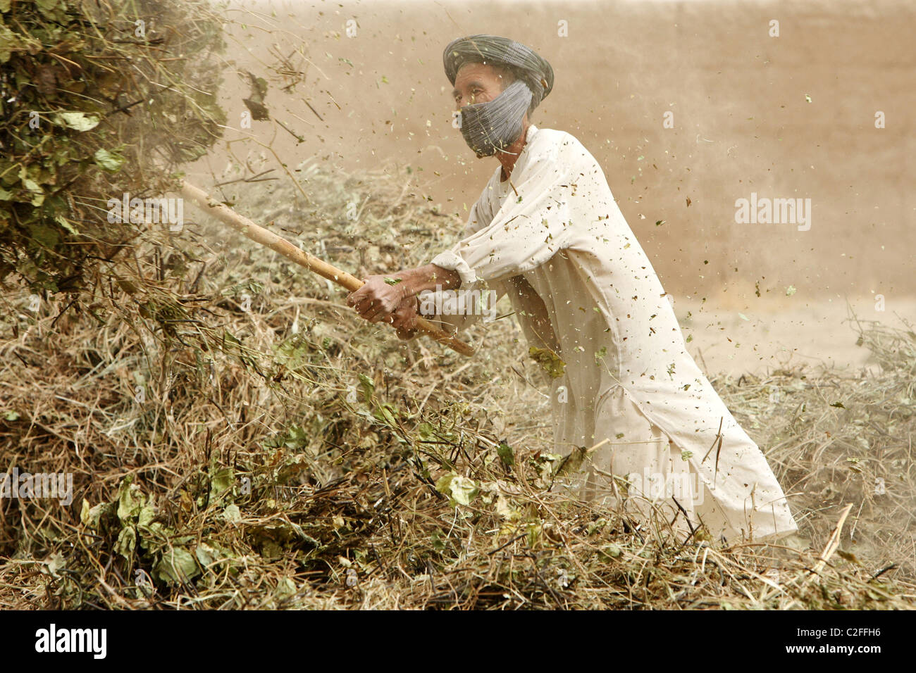 Arab farmer hi-res stock photography and images - Alamy