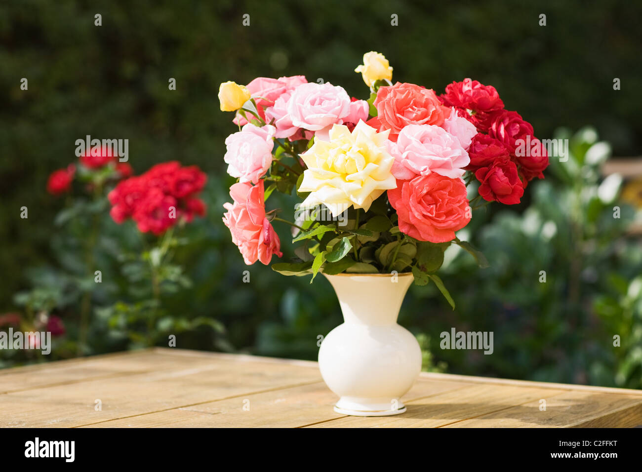 Rose with vase hi-res stock photography and images - Alamy