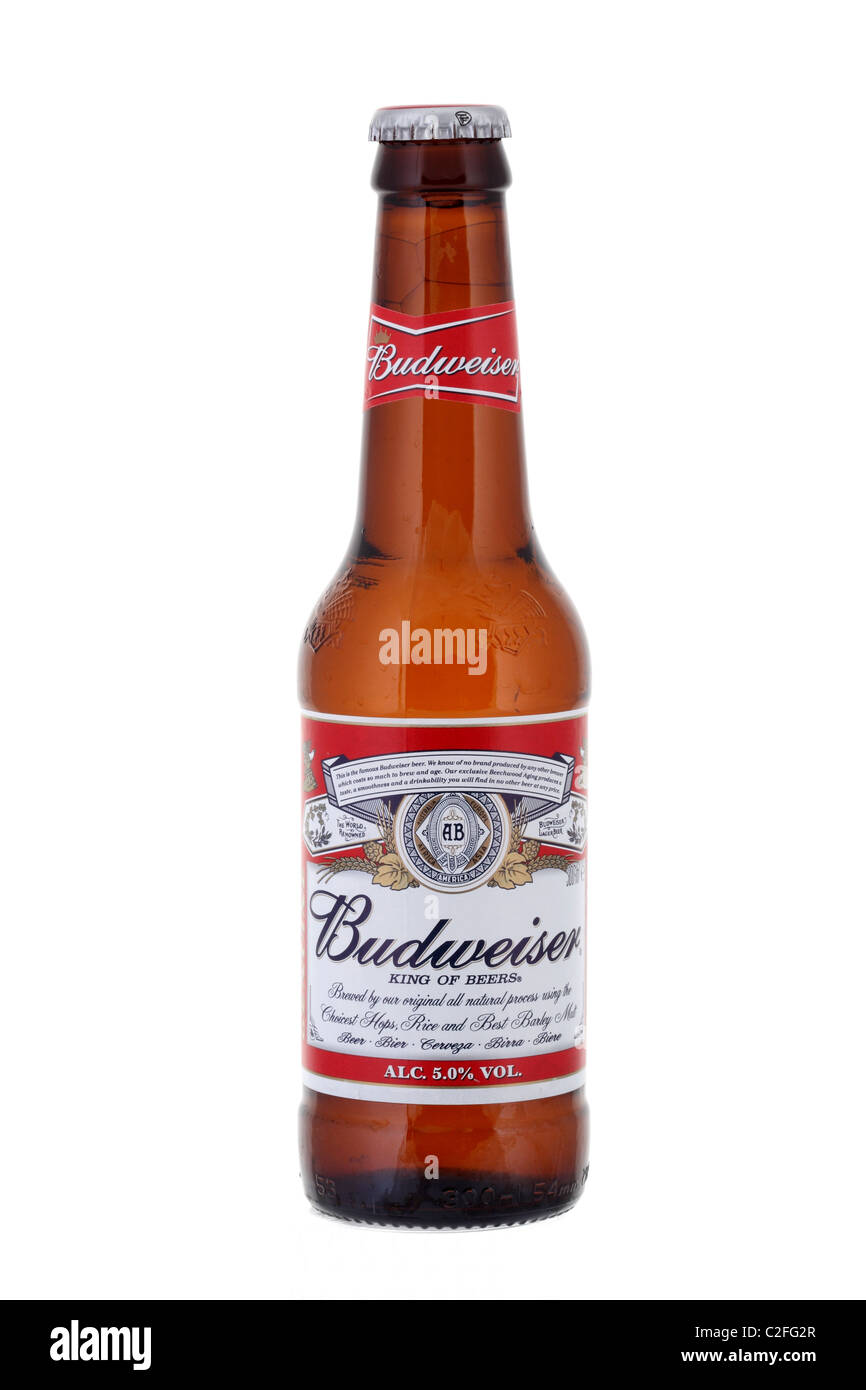 Budweiser beer bottle hi-res stock photography and images - Alamy