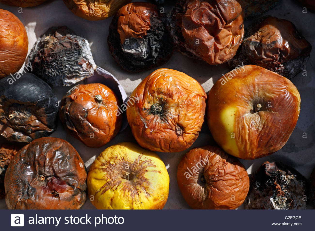 Old Apples Rotten Apple High Resolution Stock Photography and Images ...