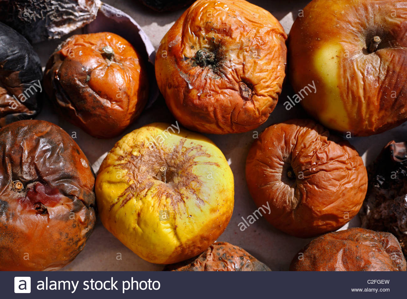 Old Apples Rotten Apple High Resolution Stock Photography and Images ...