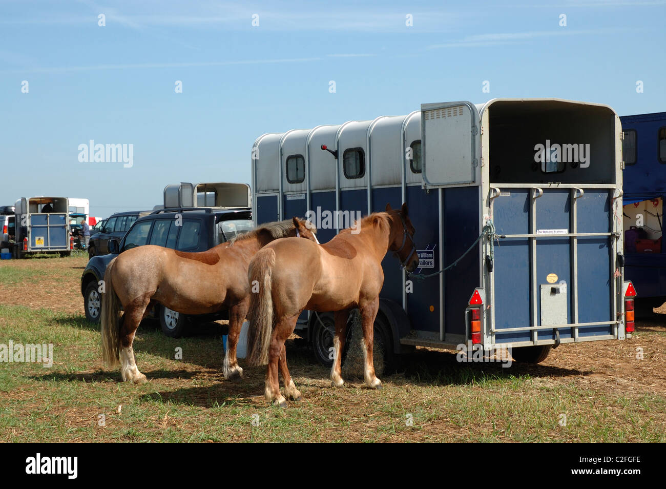 Two horse trailer hi-res stock photography and images - Alamy
