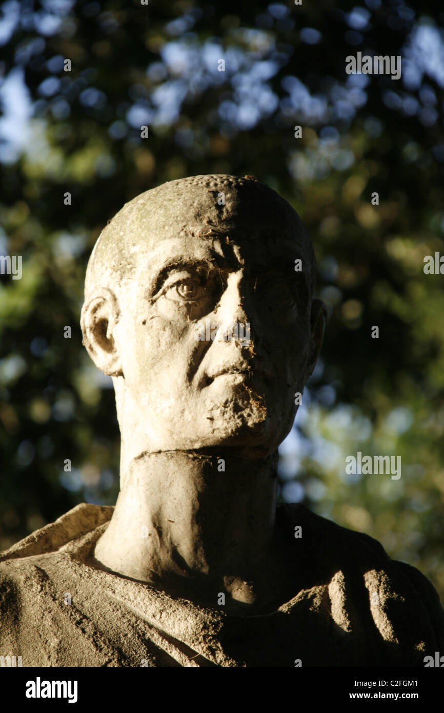 Villa pamphili tree hi-res stock photography and images - Alamy