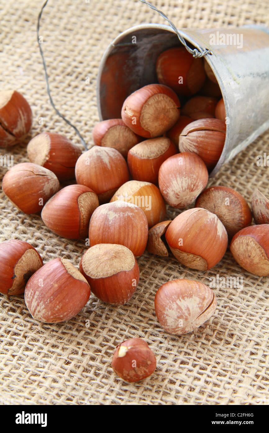 hazelnuts in a bucket on a natural background Stock Photo - Alamy