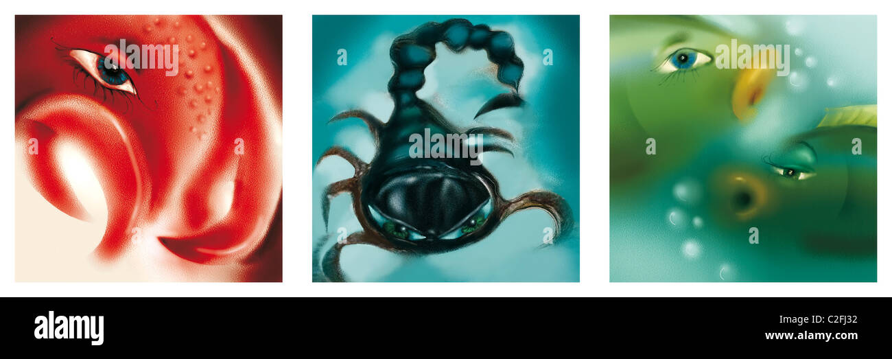 illustration of cancer, scorpio and pisces water zodiac signs Stock ...