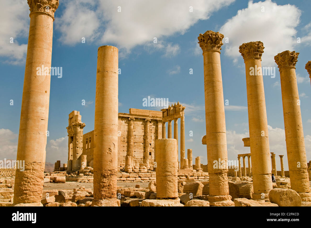 Temple of Bel 2 Cent Roman Palmyra Syria Syrian Museum Stock Photo - Alamy