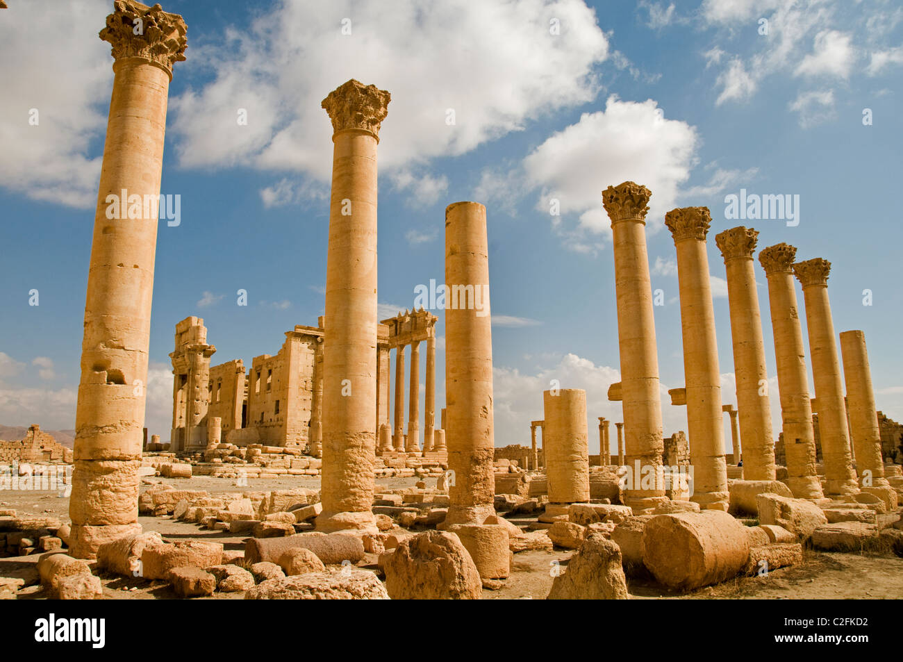 Temple of Bel 2 Cent Roman Palmyra Syria Syrian Museum Stock Photo - Alamy
