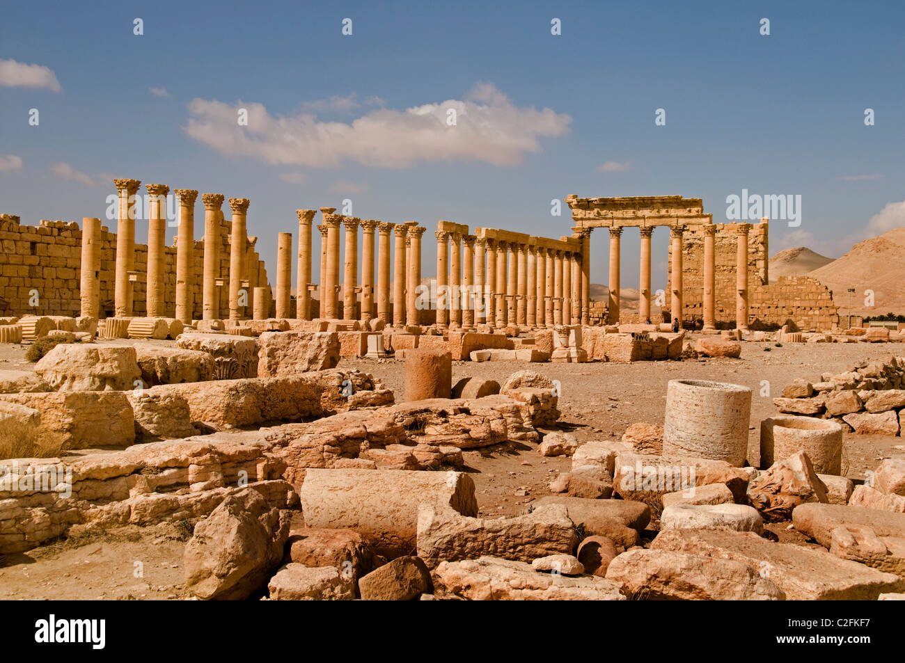 Temple of Bel 2 Cent Roman Palmyra Syria Syrian Museum Stock Photo - Alamy