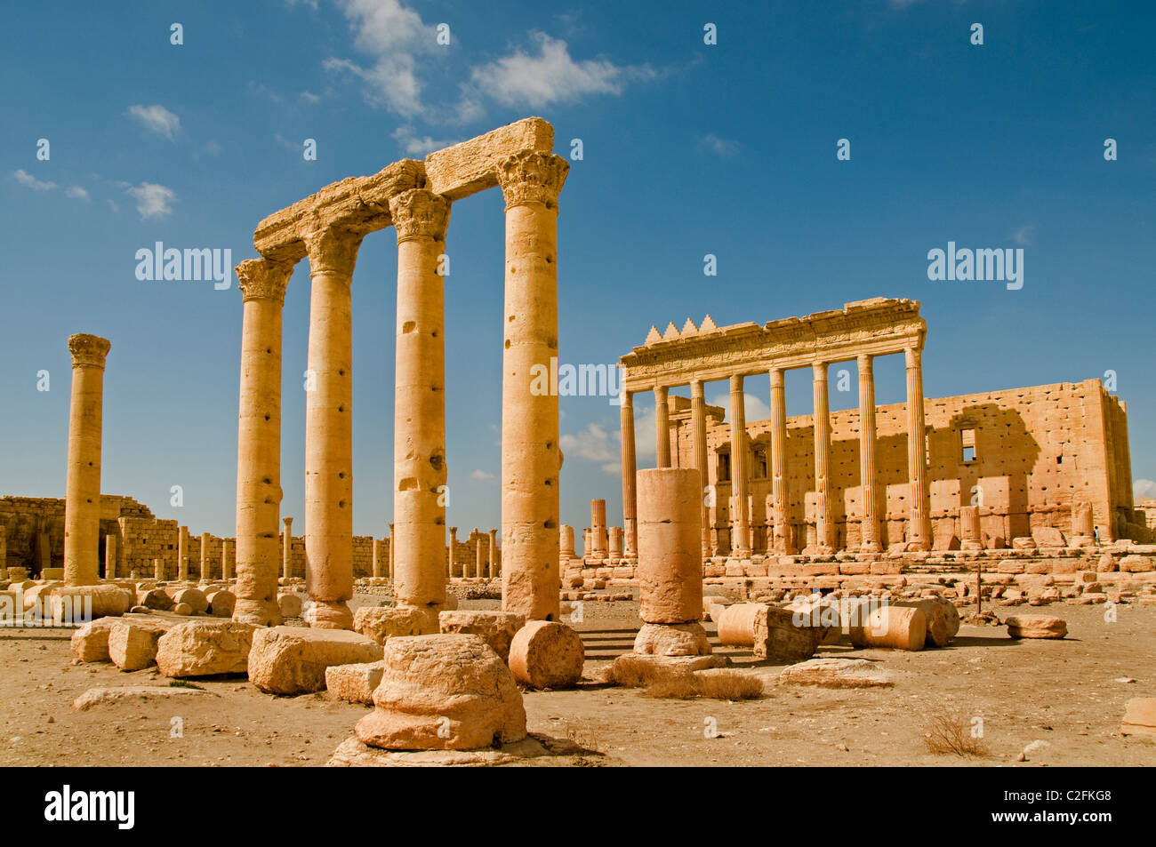 Temple of Bel 2 Cent Roman Palmyra Syria Syrian Museum Stock Photo - Alamy