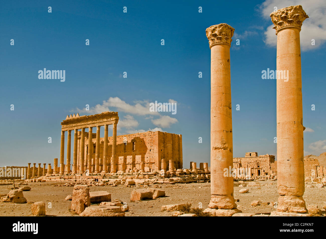 Temple of Bel 2 Cent Roman Palmyra Syria Syrian Museum Stock Photo - Alamy