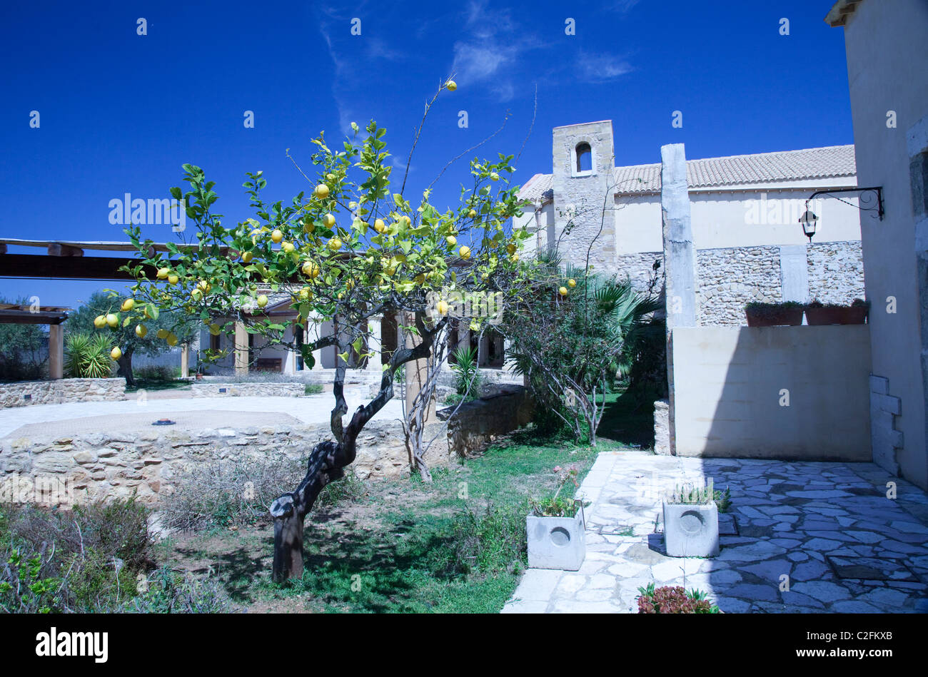 Sicilian Landscape Lemons High Resolution Stock Photography and Images ...