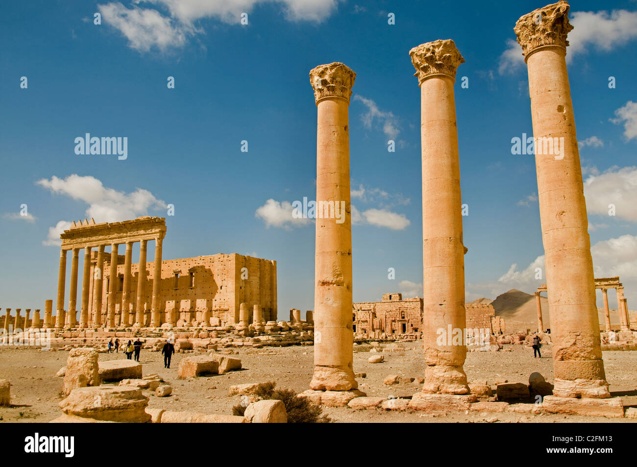 Temple of Bel 2 Cent Roman Palmyra Syria Syrian Museum Stock Photo - Alamy