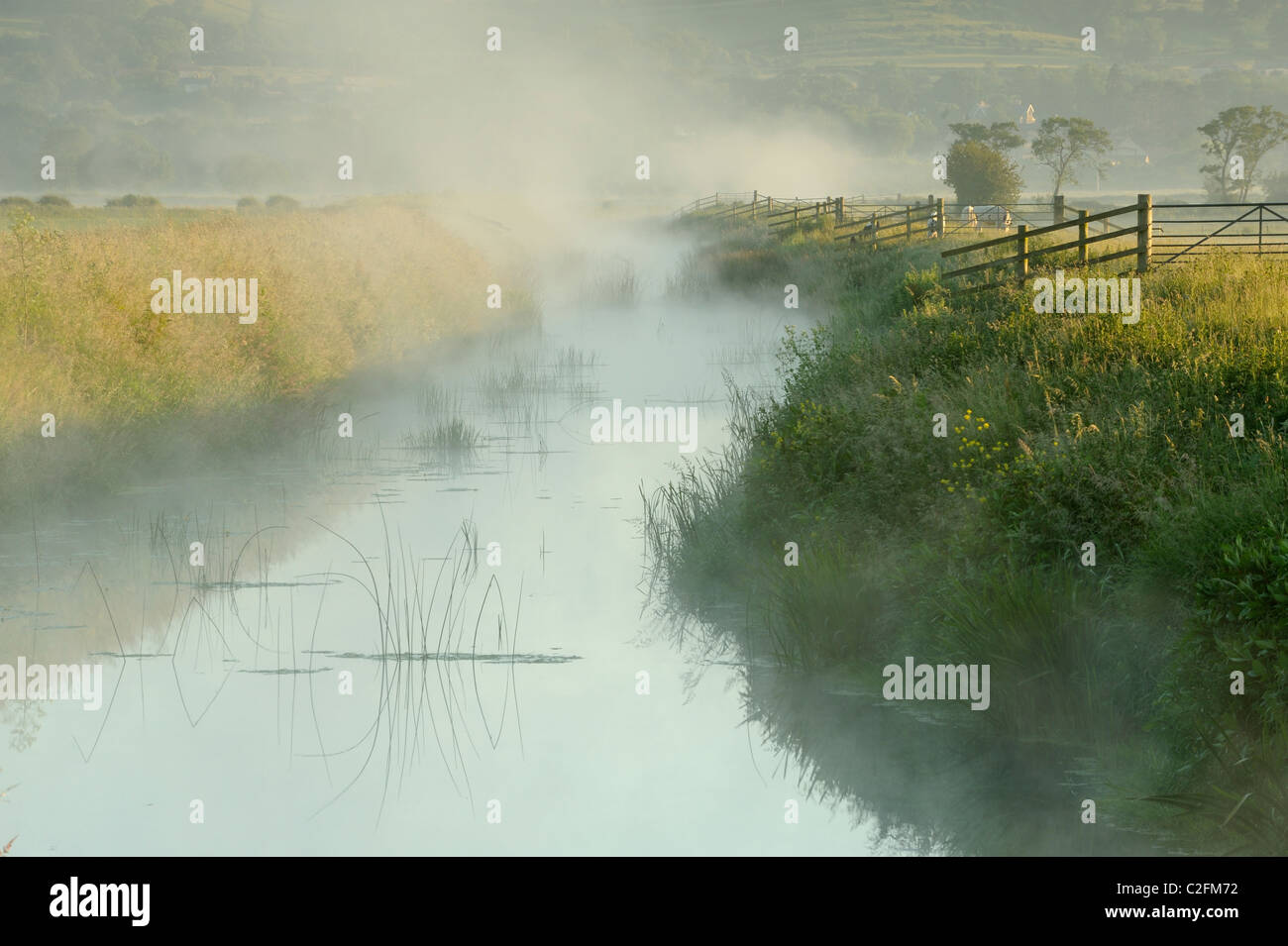 Misty rising from the River Brue near Glastonbury, Somerset Stock Photo ...