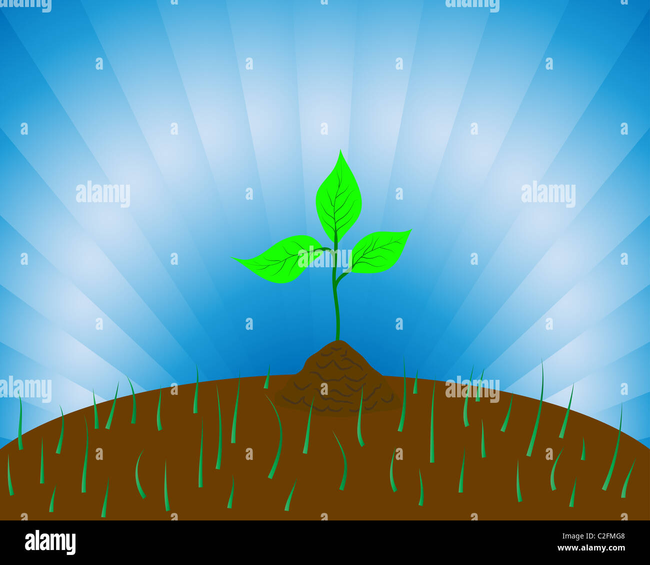Abstract illustrations of sprout on the beams backgrounds Stock Photo ...