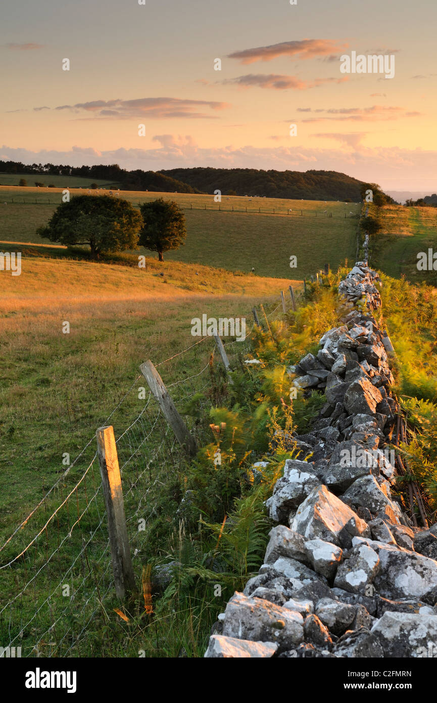 A drystone wall and fence leading through undulating farmland at Velvet ...