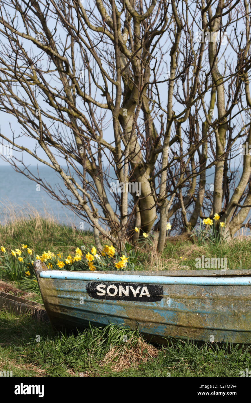 Inverbervie scotland hi-res stock photography and images - Alamy