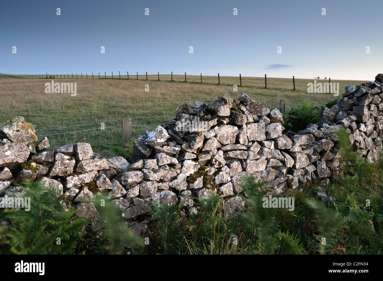 Crumbling drystone wall and neat fencing running through fields at ...