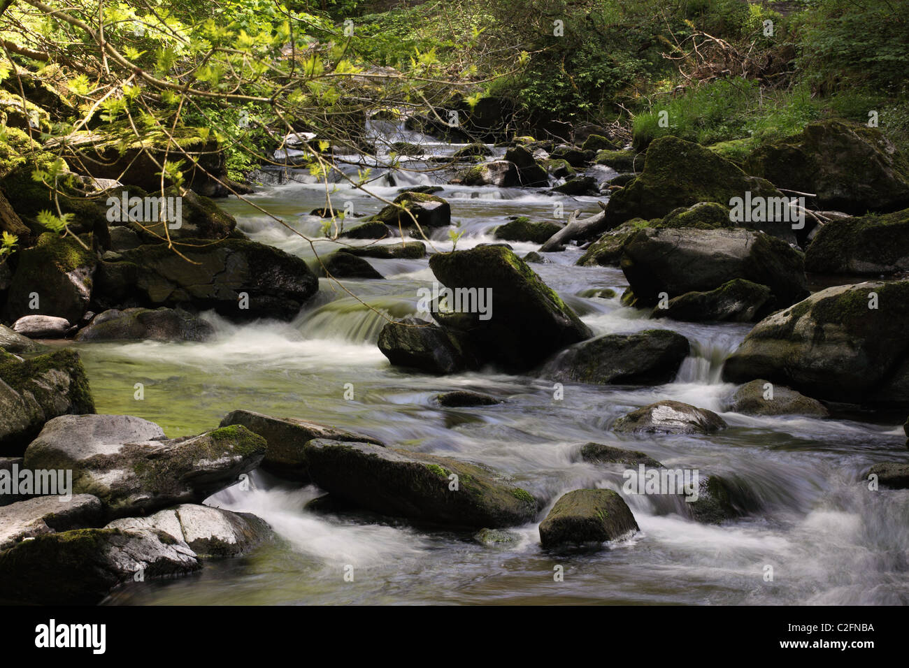 Watersmeet Exmoor National Park Devon England, UK Stock Photo - Alamy
