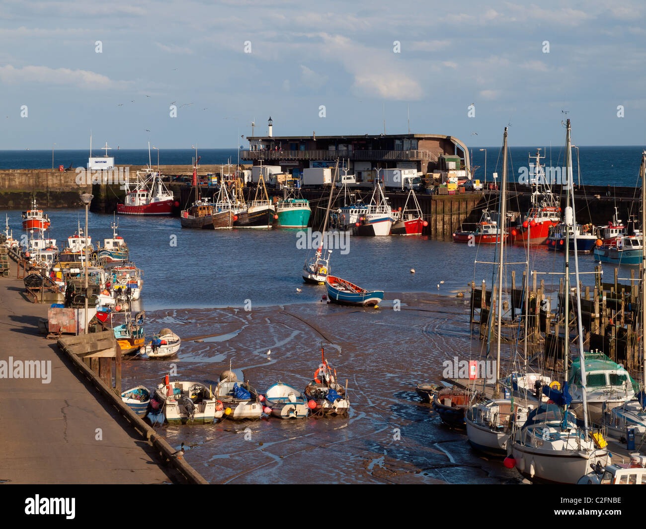 Shell fishery hi-res stock photography and images - Alamy