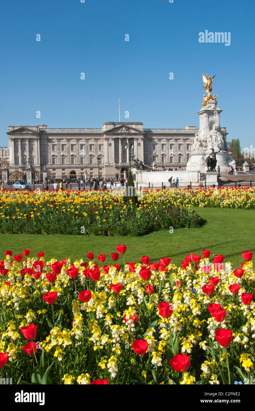 Buckingham palace in the Spring time. London. England Stock Photo - Alamy