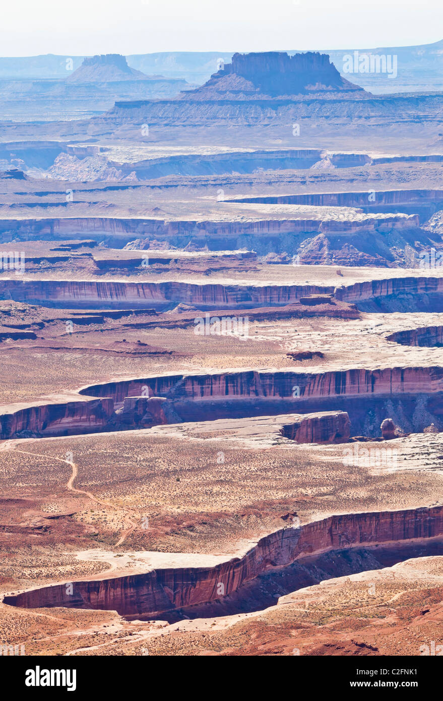 Overlooking the White Rim area in Canyonlands National Park, Utah, USA ...