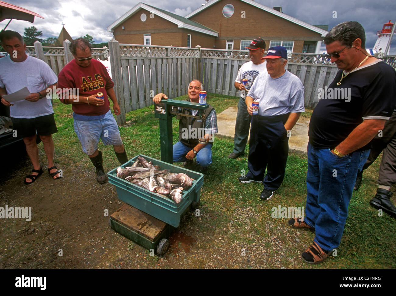 French canadian canadian fisherman weighing fish hi-res stock ...