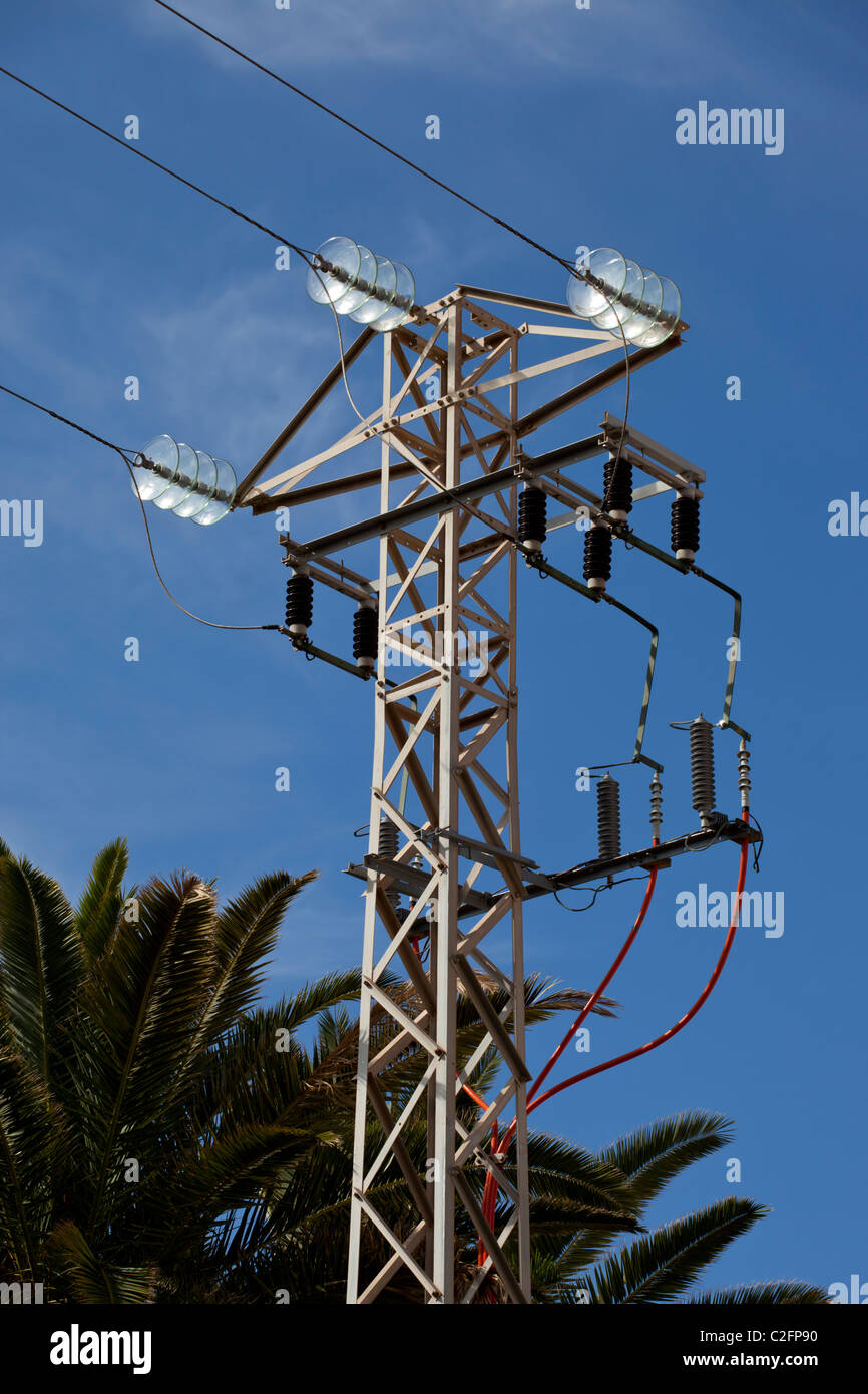 A small power pylon with blue sky and tropical foliage behind Stock ...