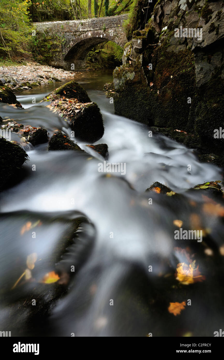 Water gushing over rocks and flowing under a bridge at Pont Melin Fach ...