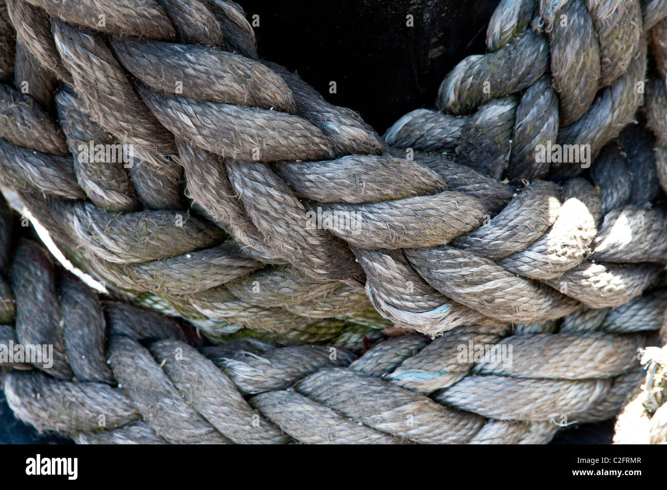 Wrapped Around An Anchor High Resolution Stock Photography and Images ...