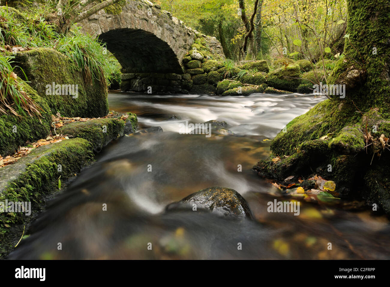 Bridge in devon hi-res stock photography and images - Alamy