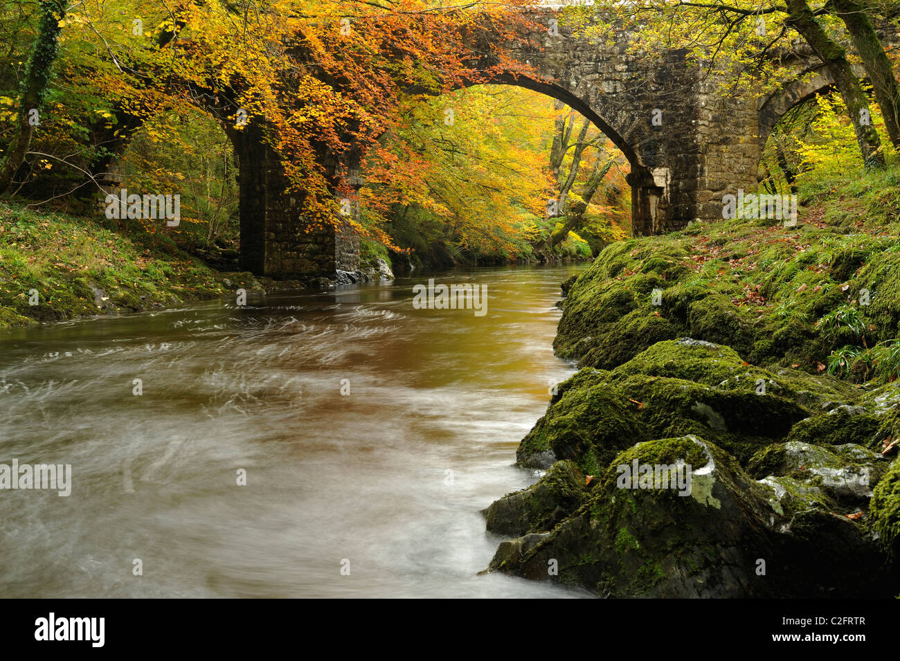 The river Dart flowing under Holne Bridge, Devon Stock Photo - Alamy