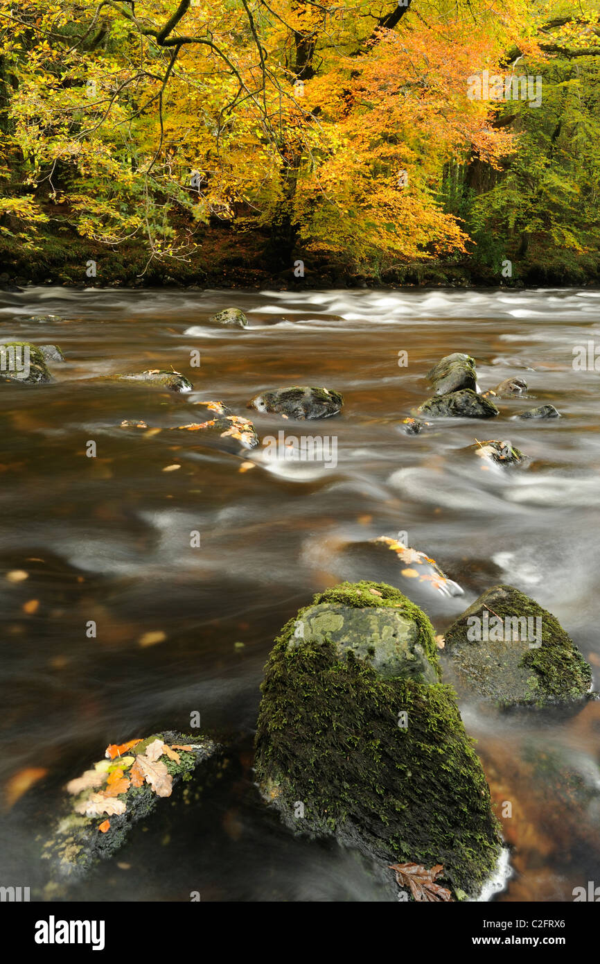 Rocks strew across the river Dart, Devon, in autumn Stock Photo - Alamy