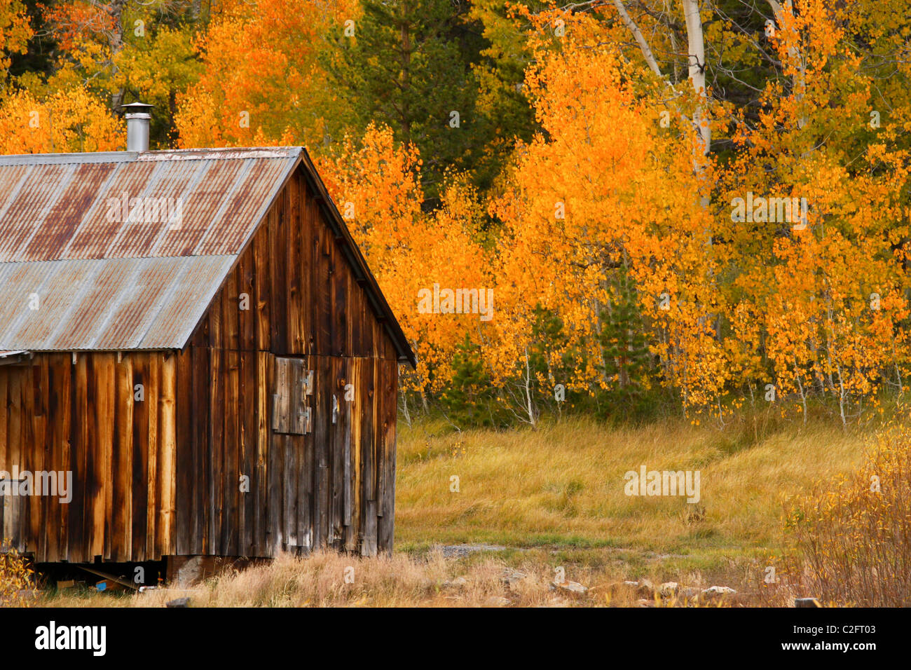 A rustic cabin in autumn in Hope Valley in the Sierra Nevada near Lake ...