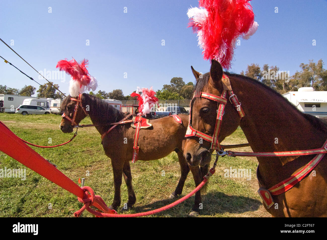 The Ramos Circus tent Stock Photo - Alamy