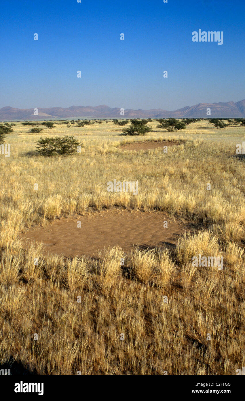 Marienfluss. Kaokaveld Namibia Stock Photo - Alamy