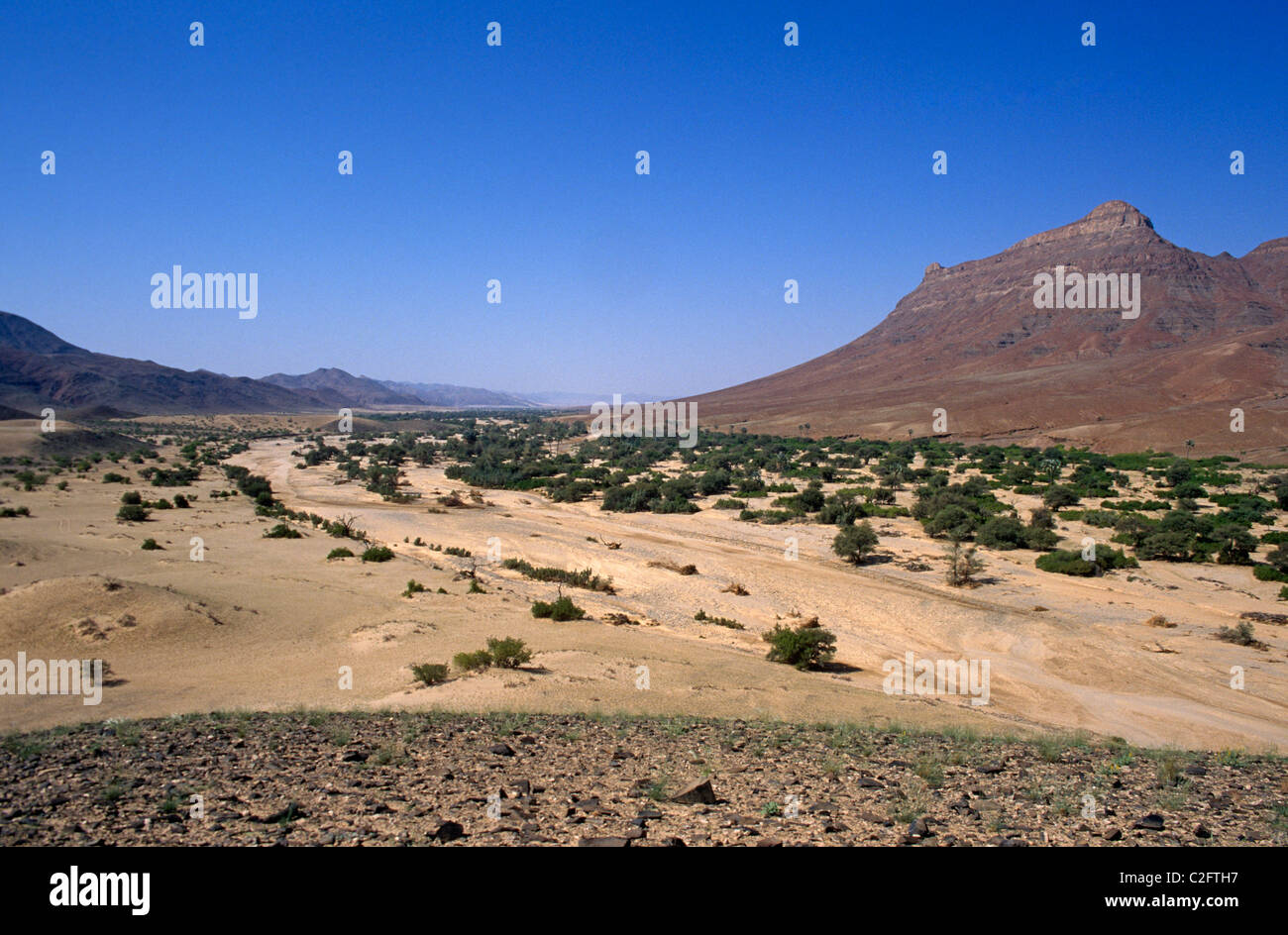 Hoanib river hi-res stock photography and images - Alamy