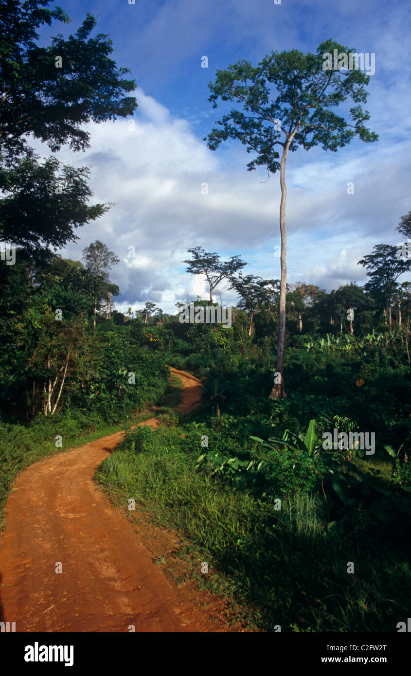 National Parks In Nigeria
