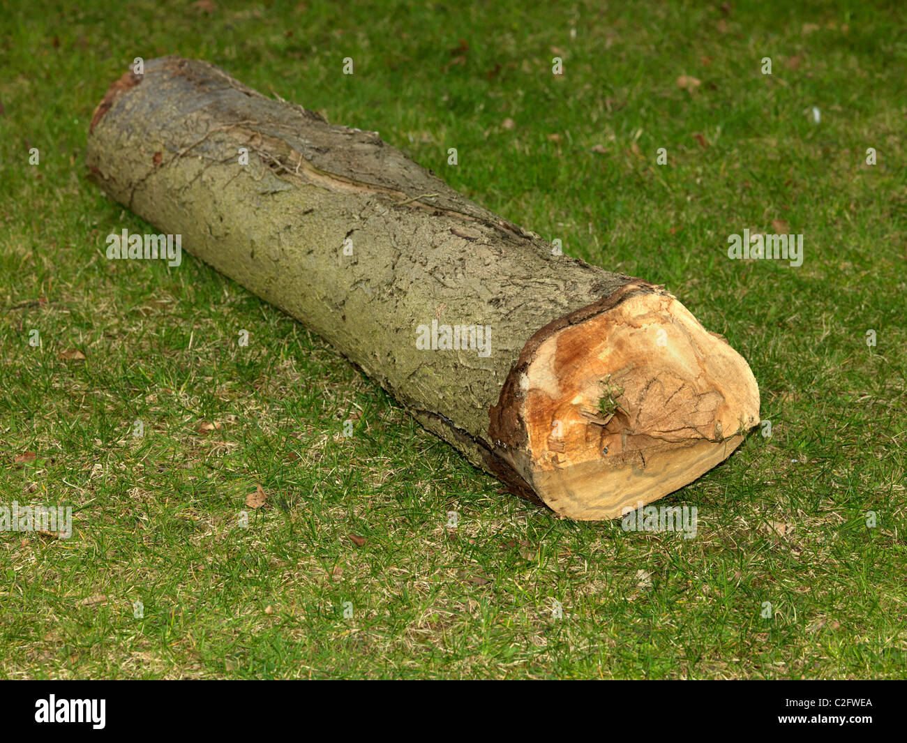 A Log on The Grass Stock Photo - Alamy