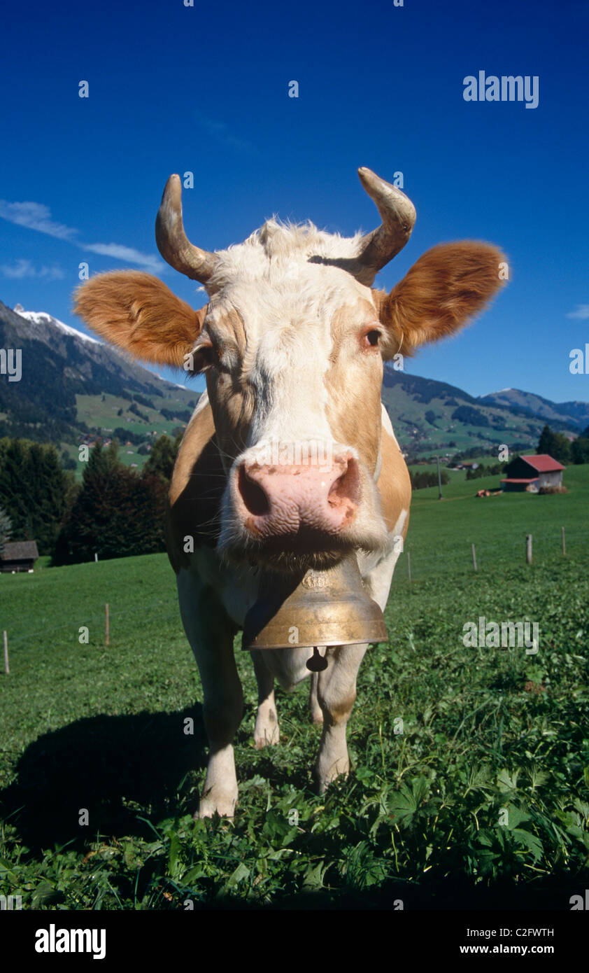 Simme river valley hi-res stock photography and images - Alamy