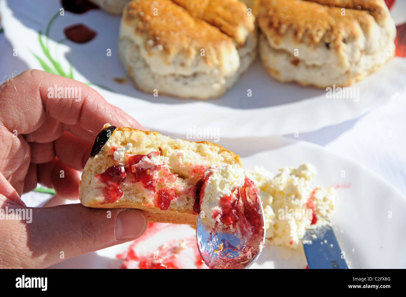 Man holding a scone filled with strawberry jam and clotted cream Stock ...