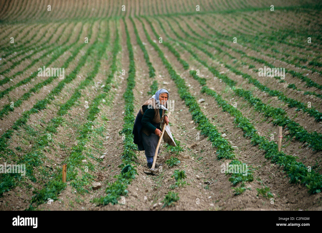 Farming Romania Stock Photo - Alamy