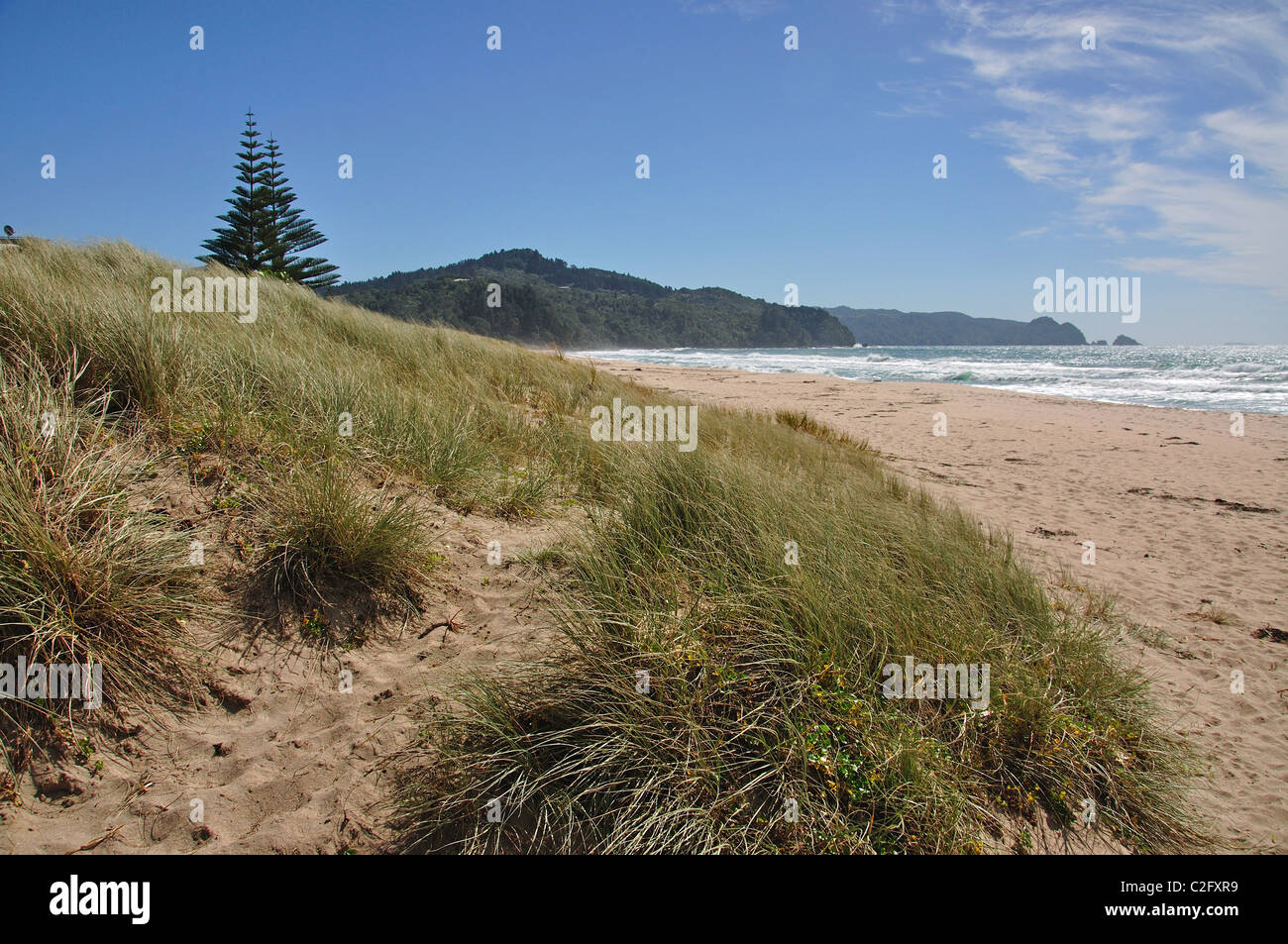 Tairau Beach, Tairua, Coromandel Peninsula, Waikato Region, North ...
