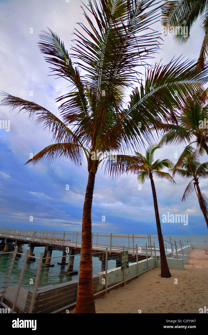 Beautiful Sky, Palm Trees and Pier, Key West, FL Stock Photo - Alamy