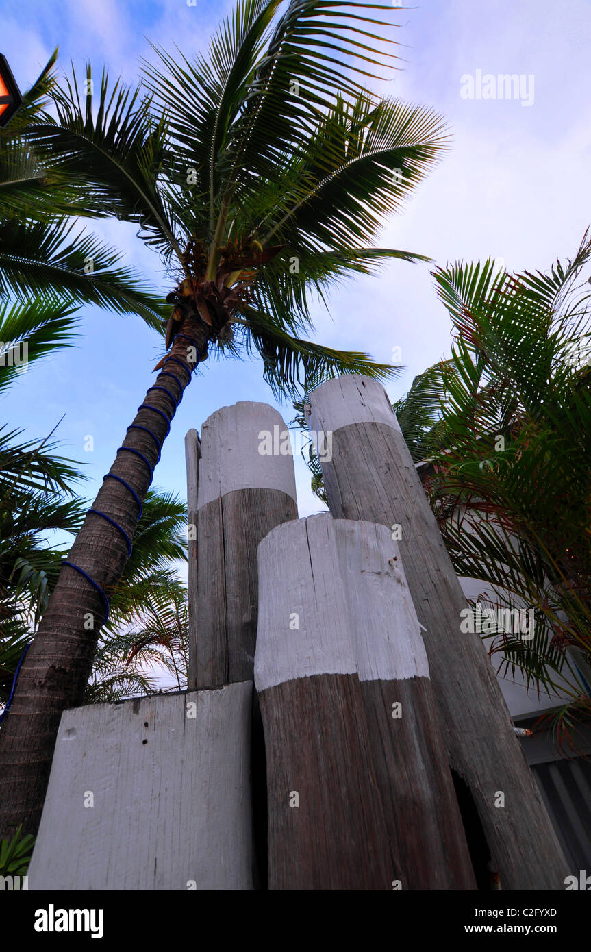 Palm trees and pylons in front of the Conch Republic Restaurant, Key ...