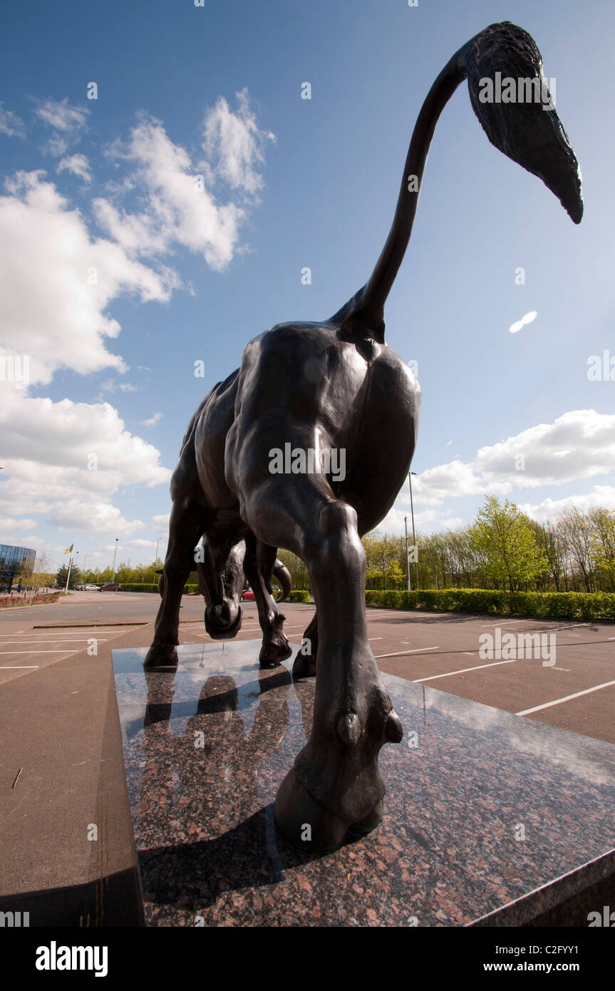 Oxford United Ox Statue Stock Photo - Alamy