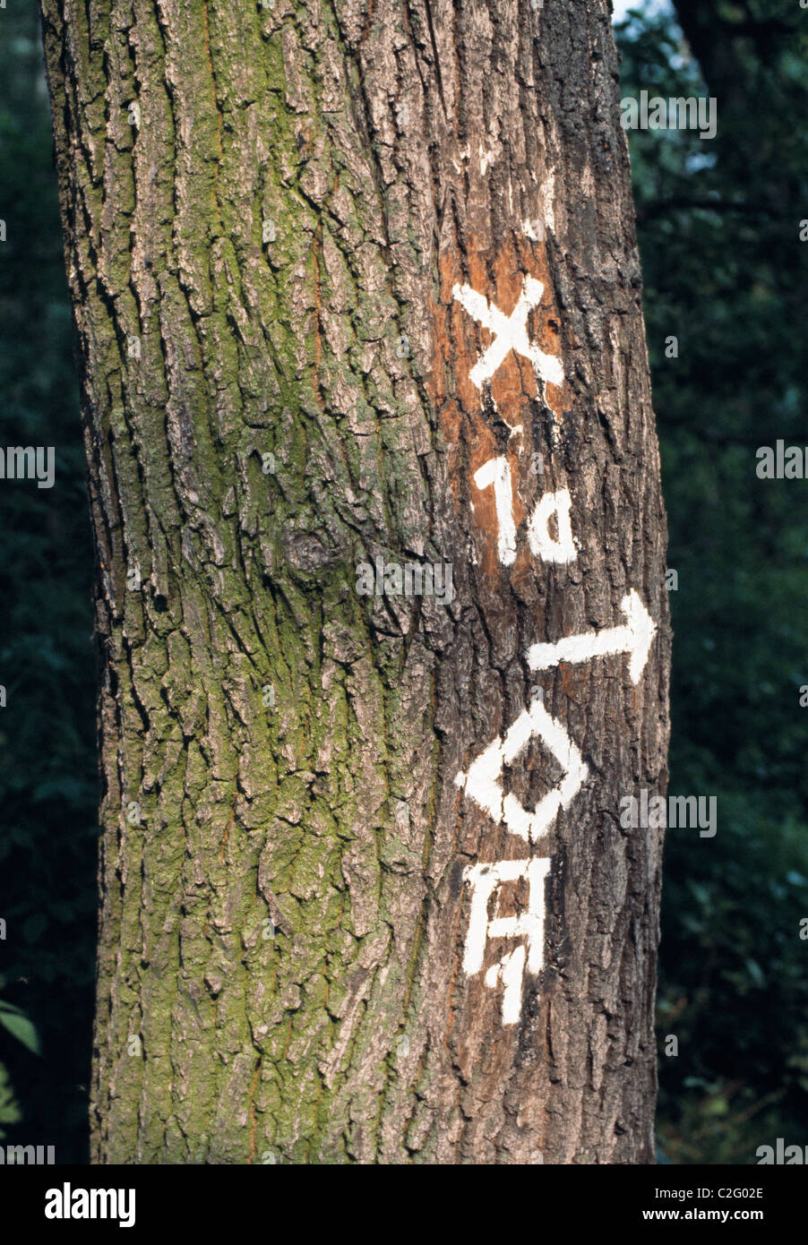 Blaze mark hi-res stock photography and images - Alamy