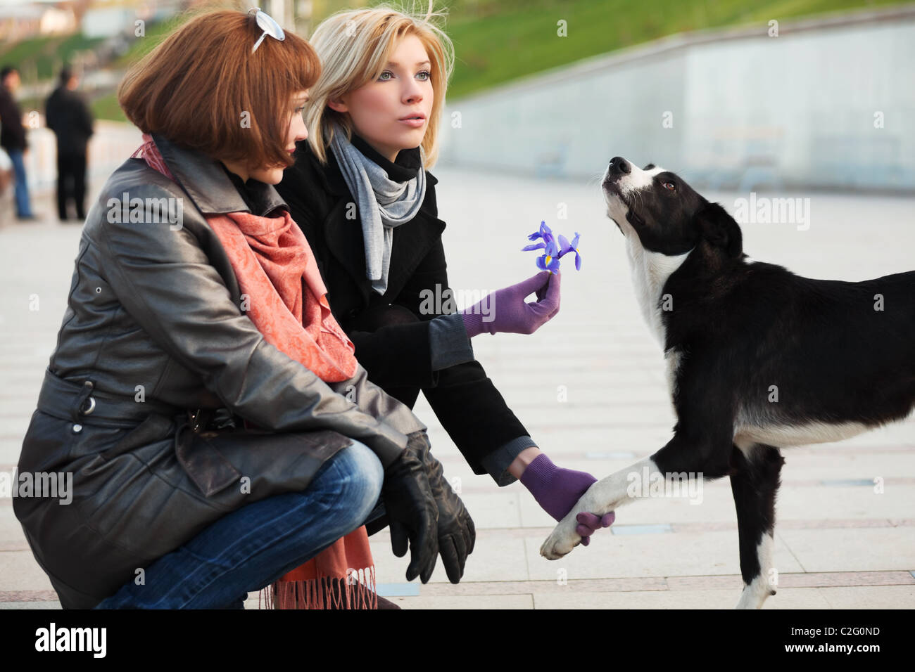 Two young women with a stray dog Stock Photo - Alamy