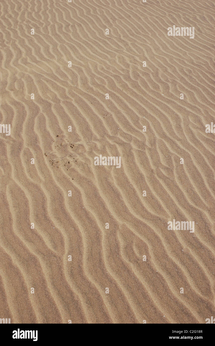 patterns formed in sand dune Stock Photo - Alamy