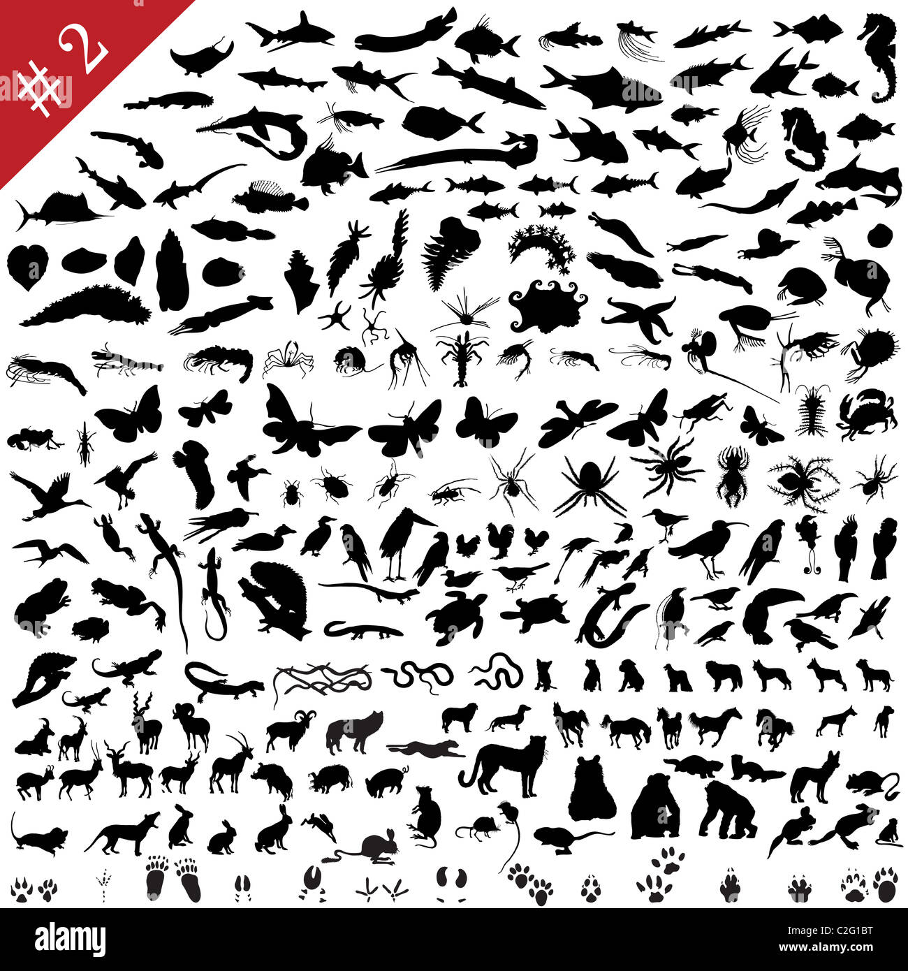 # 2 set of different animals, birds, insects and fishes vector ...